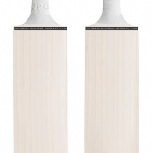 JPGavan Secret Willow 1 / Custom Made Cricket Bat